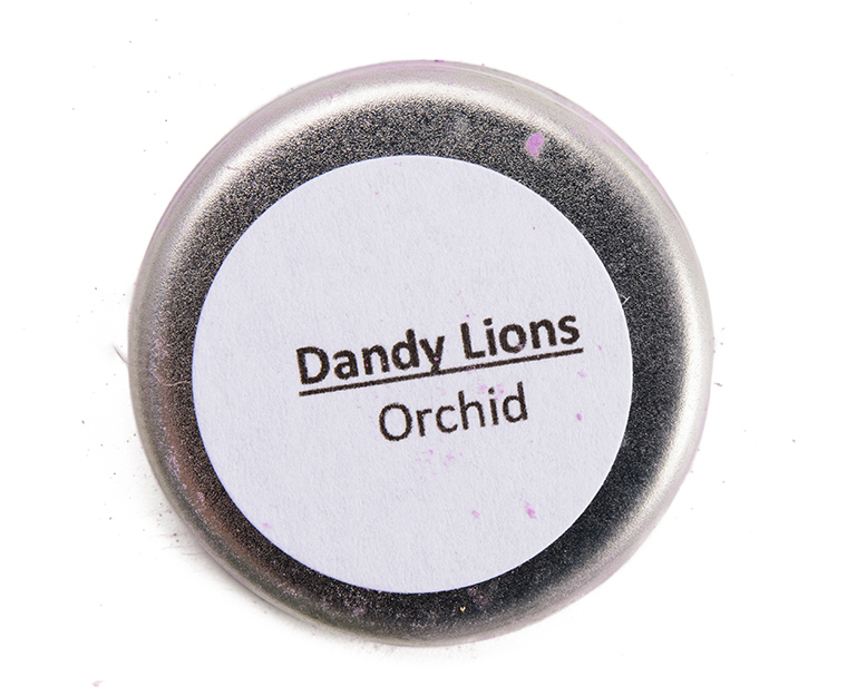 Dandy Lions Orchid Matte Eyeshadow Review & Swatches