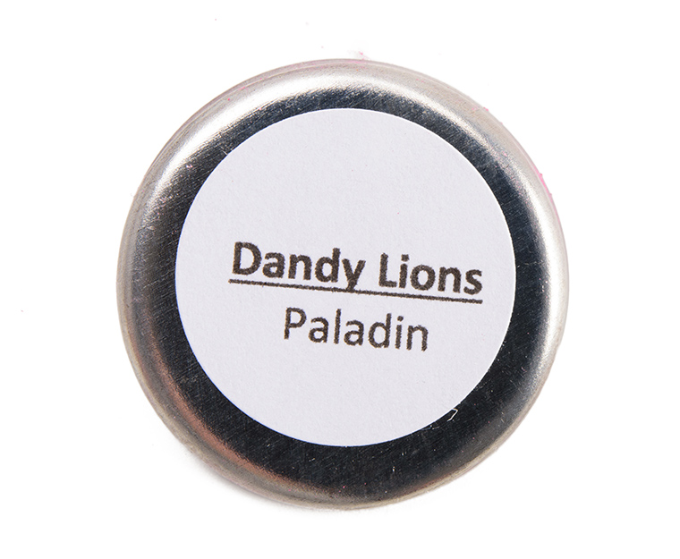 Dandy Lions Paladin Shimmer Eyeshadow Review & Swatches