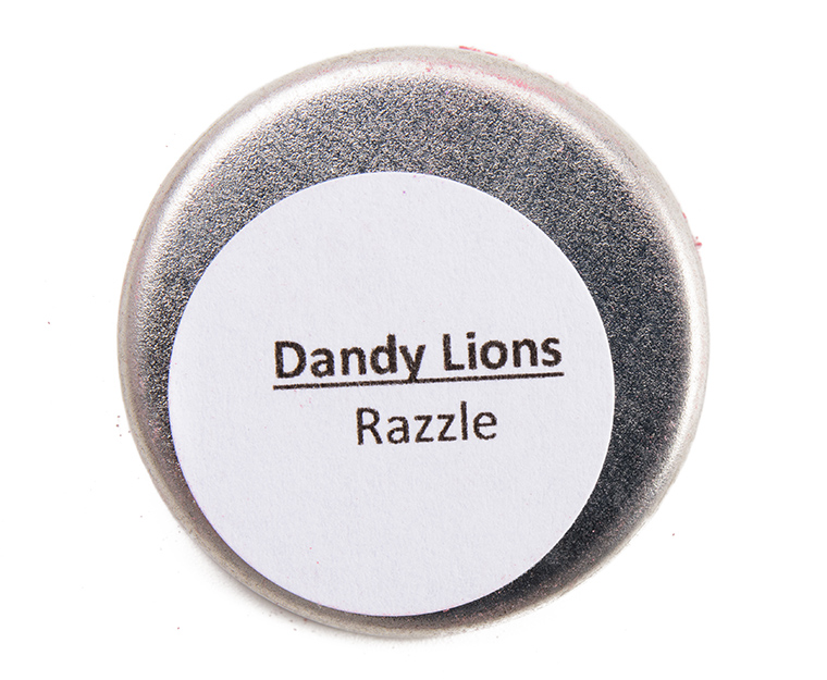 Dandy Lions Razzle Matte Eyeshadow Review & Swatches