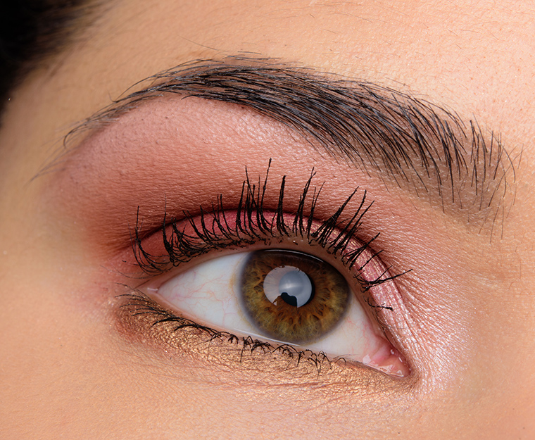 ColourPop Pink & Brown Eye | Temptalia