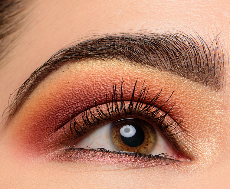 A Warm, Neutral Eye Look featuring Viseart | Temptalia
