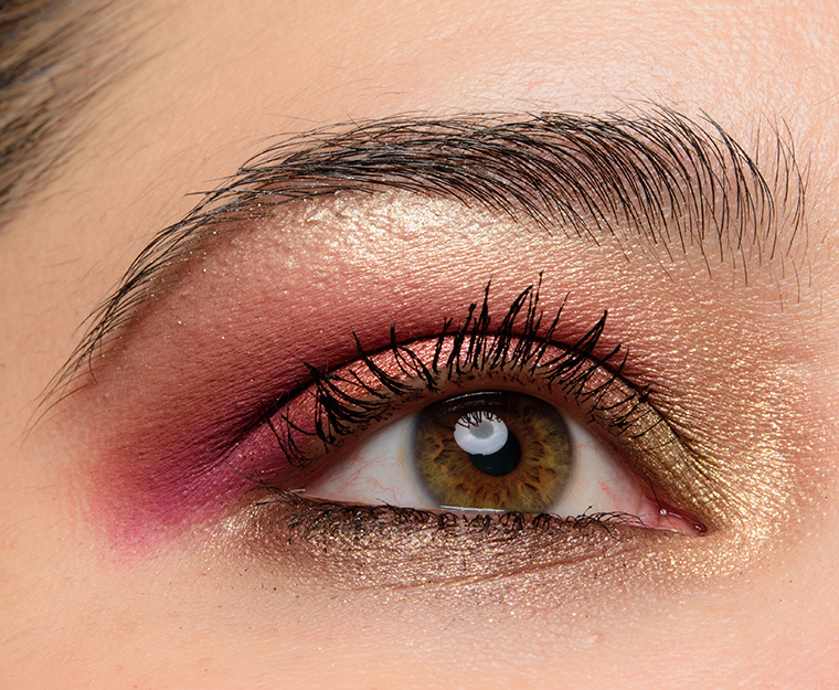 MAC Feast Your Eyes Eyeshadow Look | Temptalia